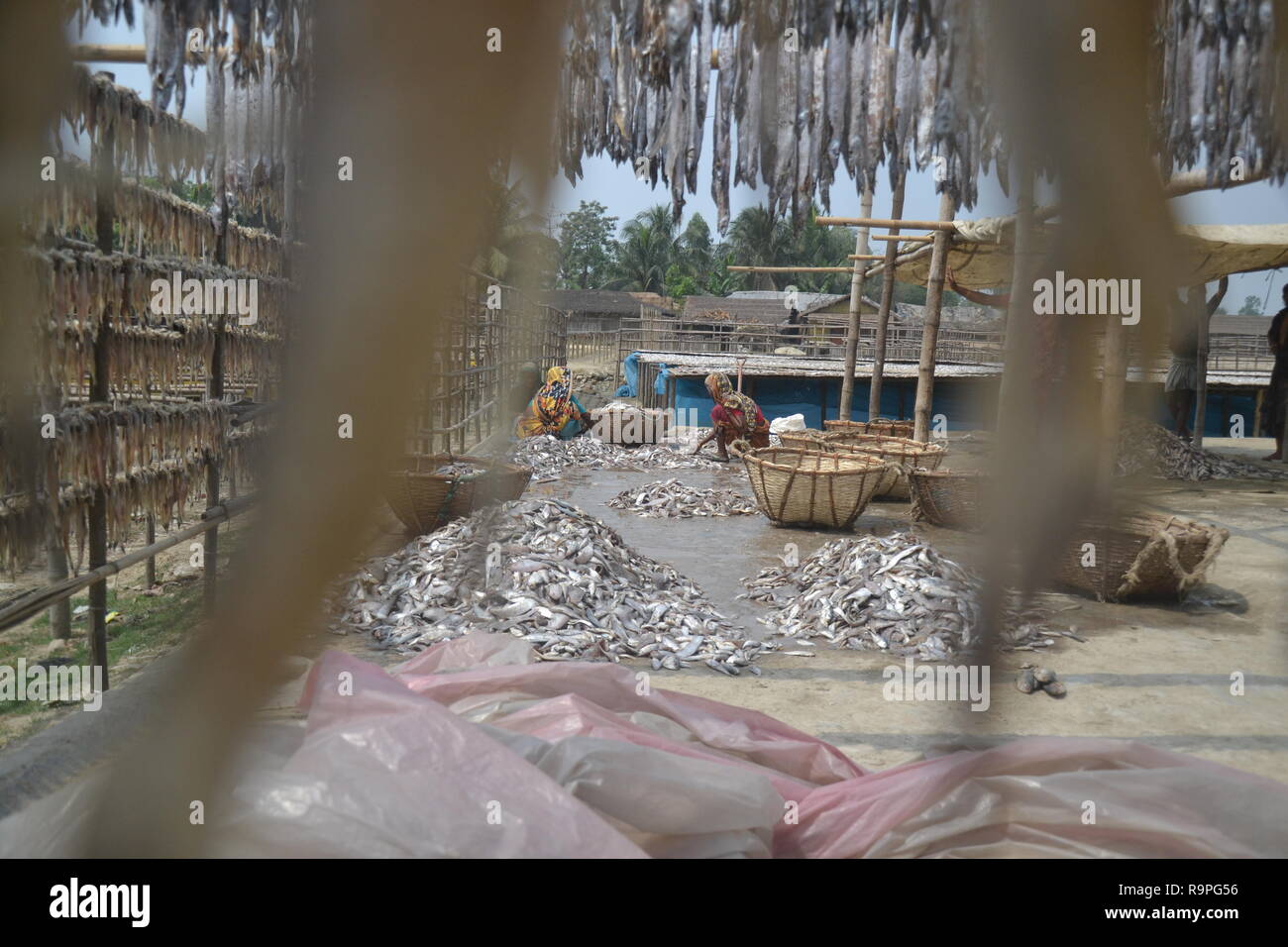 Chhuri dried fish hi-res stock photography and images - Alamy
