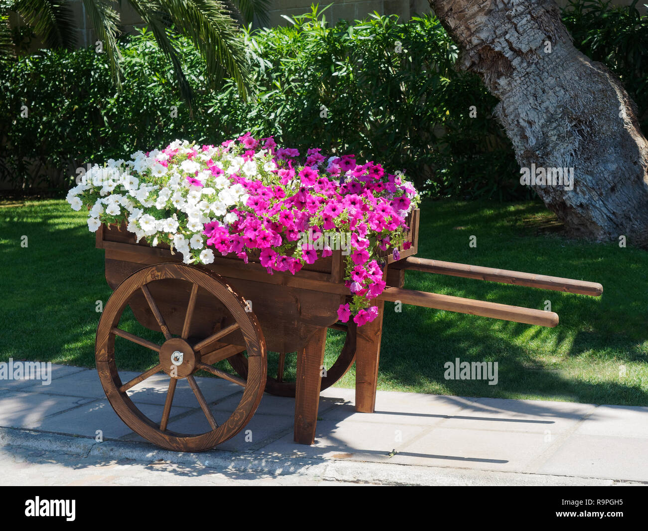 Diy Wheelbarrow Flowers DIY Mini Wheelbarrow Kit | Terrain