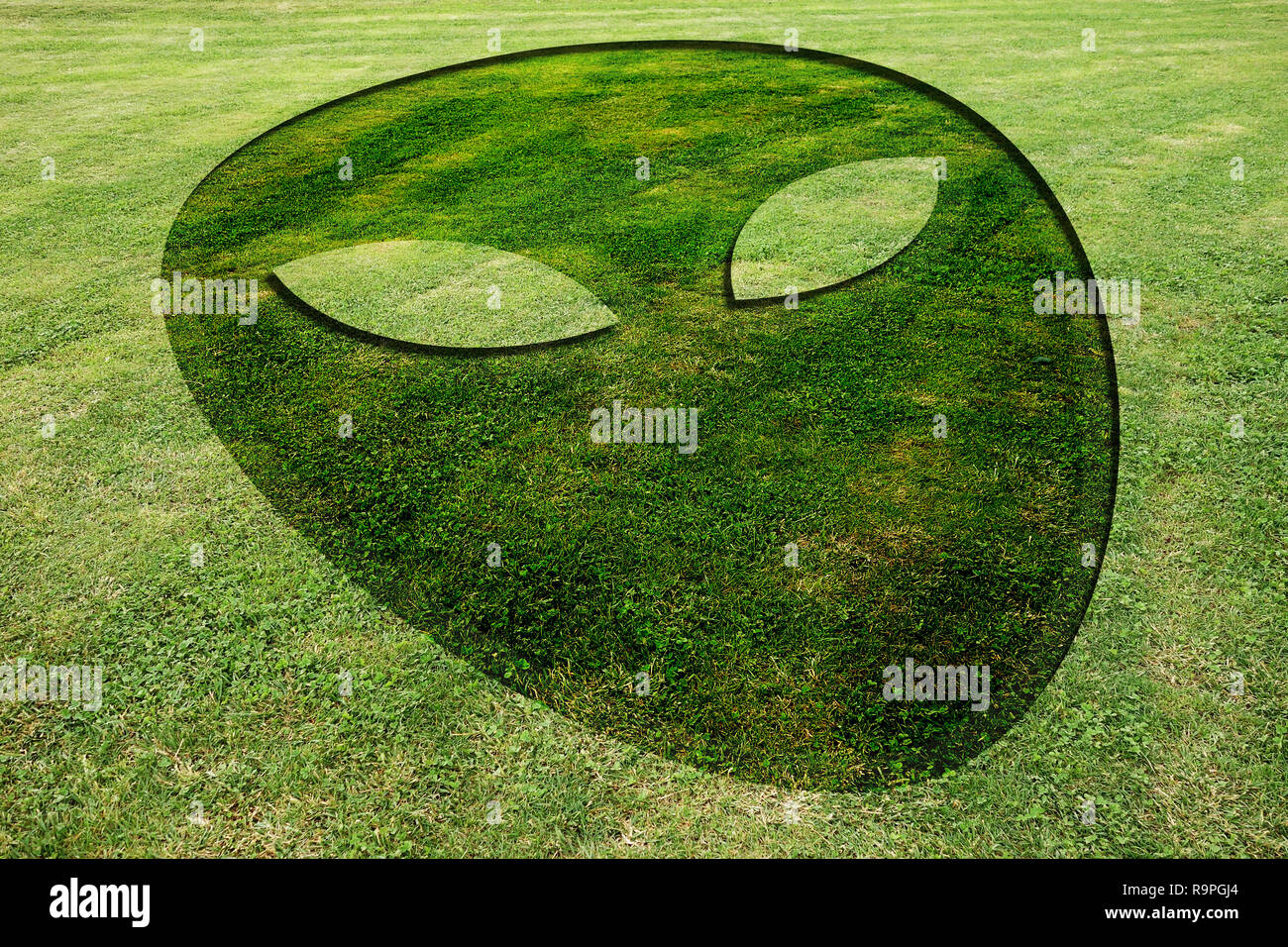 Alien face fake crop circle in the meadow Stock Photo - Alamy