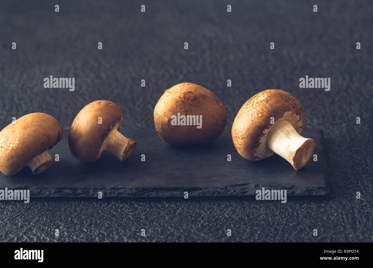 Swiss brown mushroom hi-res stock photography and images - Alamy