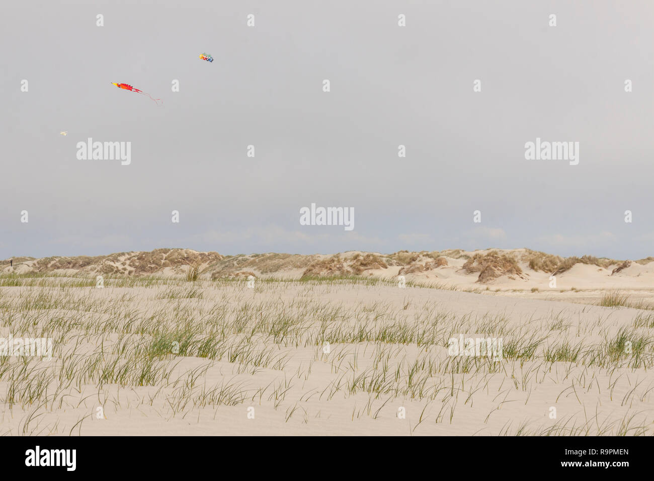 Beach on Romo Island. Denmark, Europe Stock Photo - Alamy