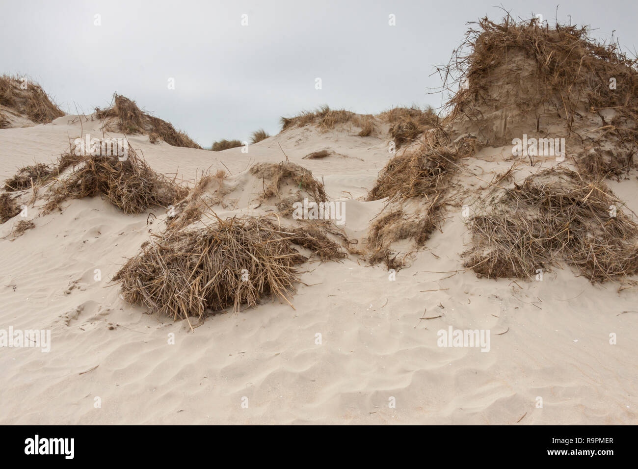 Beach on Romo Island. Denmark, Europe Stock Photo - Alamy