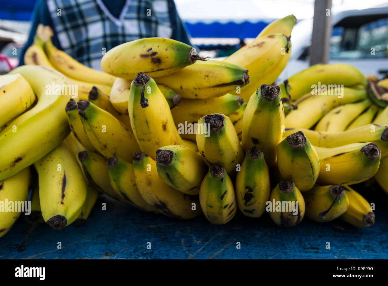 Ecuador banana harvesting hi-res stock photography and images - Alamy