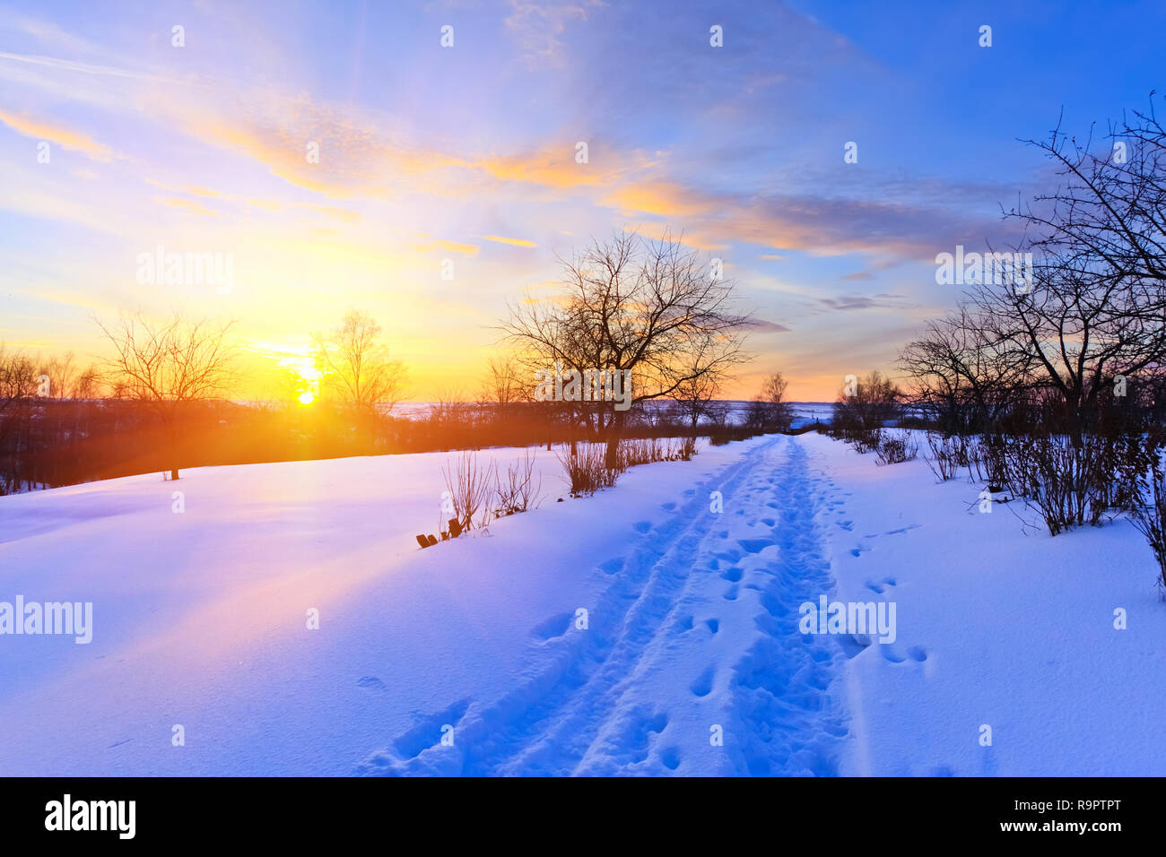Beautiful winter landscape tree hi-res stock photography and images - Alamy