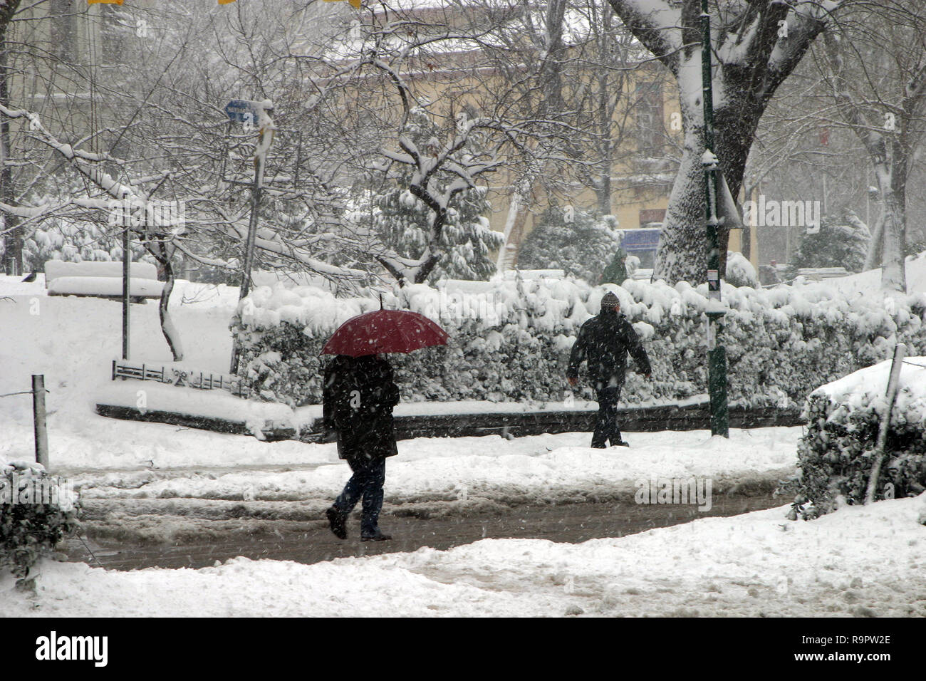 A snowy day Stock Photo - Alamy