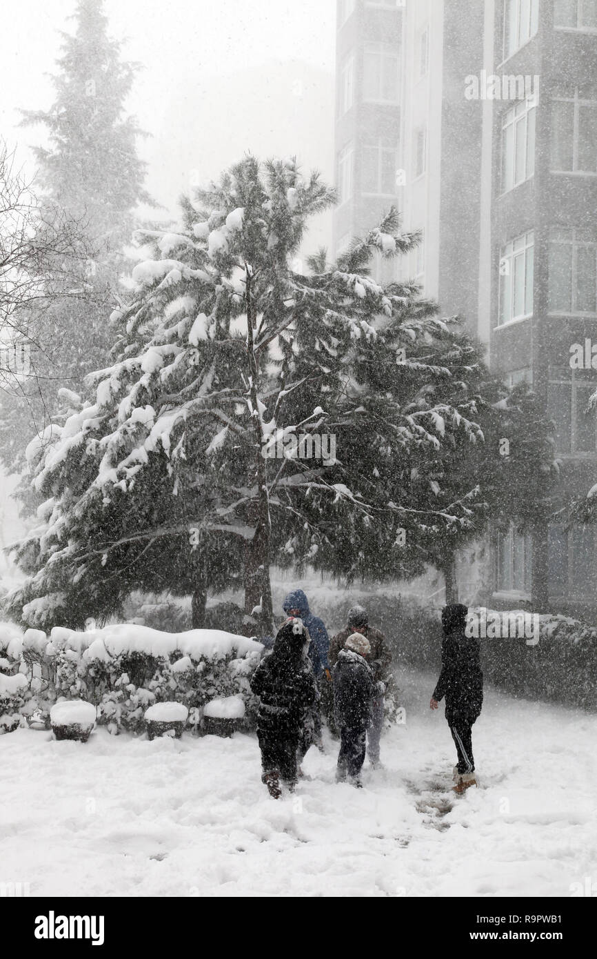 Children playing at snowy day Stock Photo - Alamy