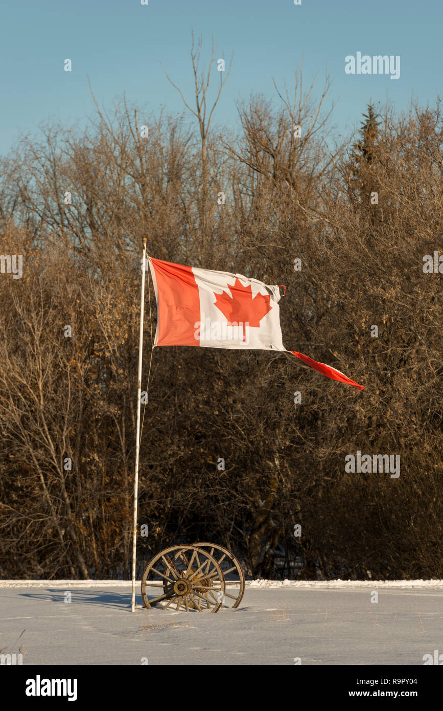 A ripped Canadian flag Stock Photo - Alamy
