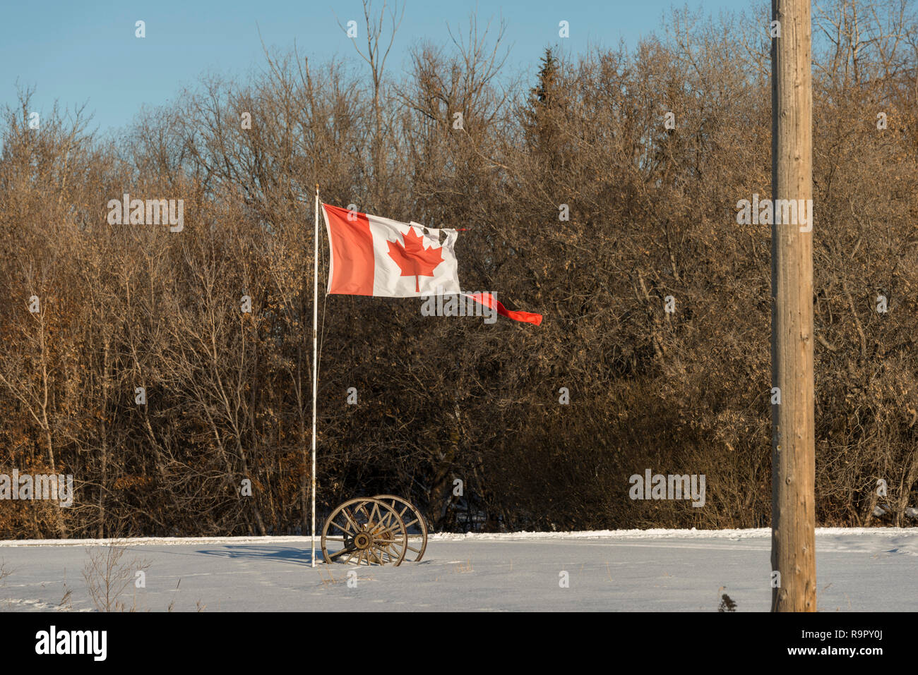 A ripped Canadian flag Stock Photo - Alamy