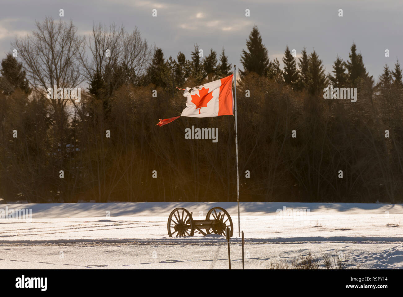 A ripped Canadian flag Stock Photo - Alamy
