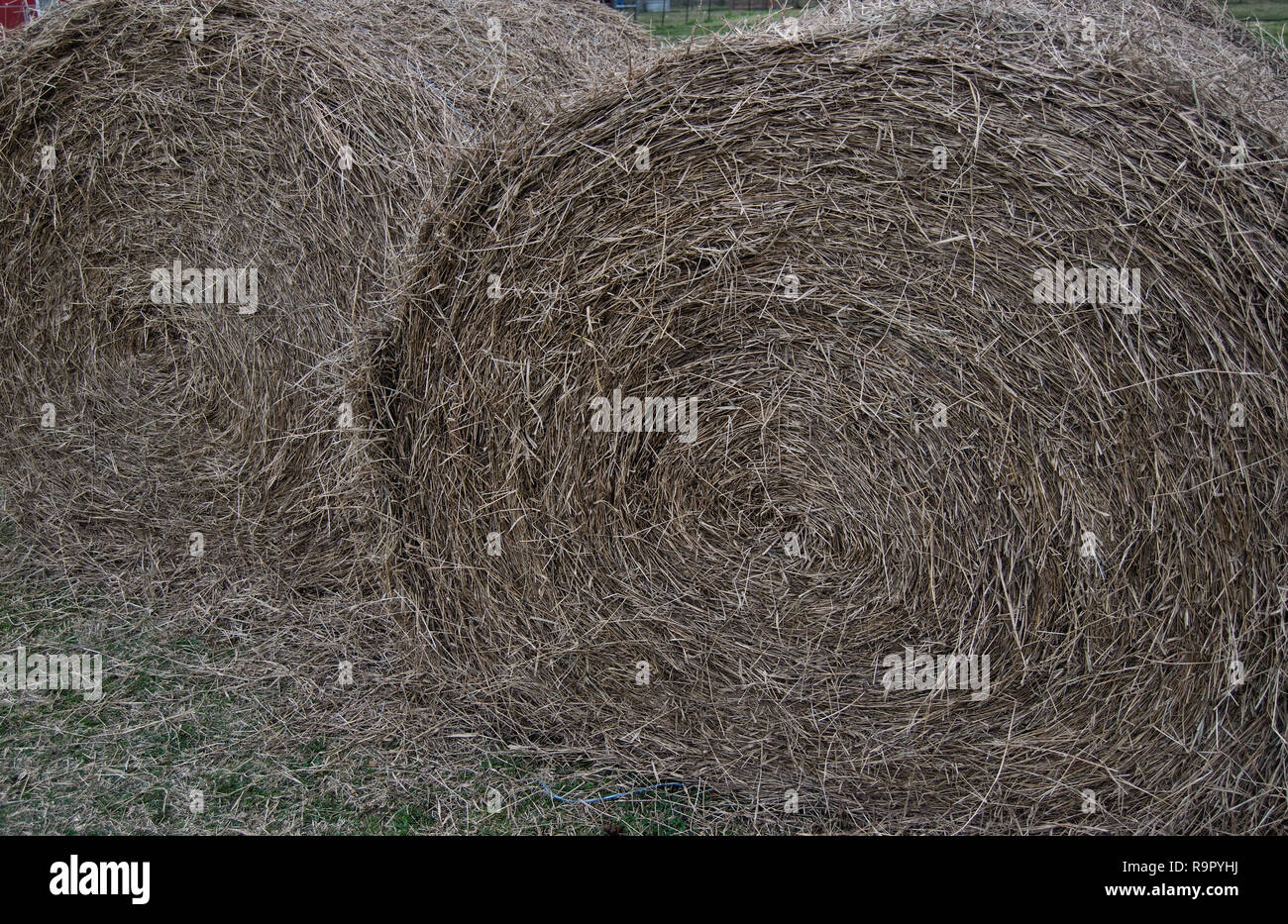 Two hay bails hi-res stock photography and images - Alamy