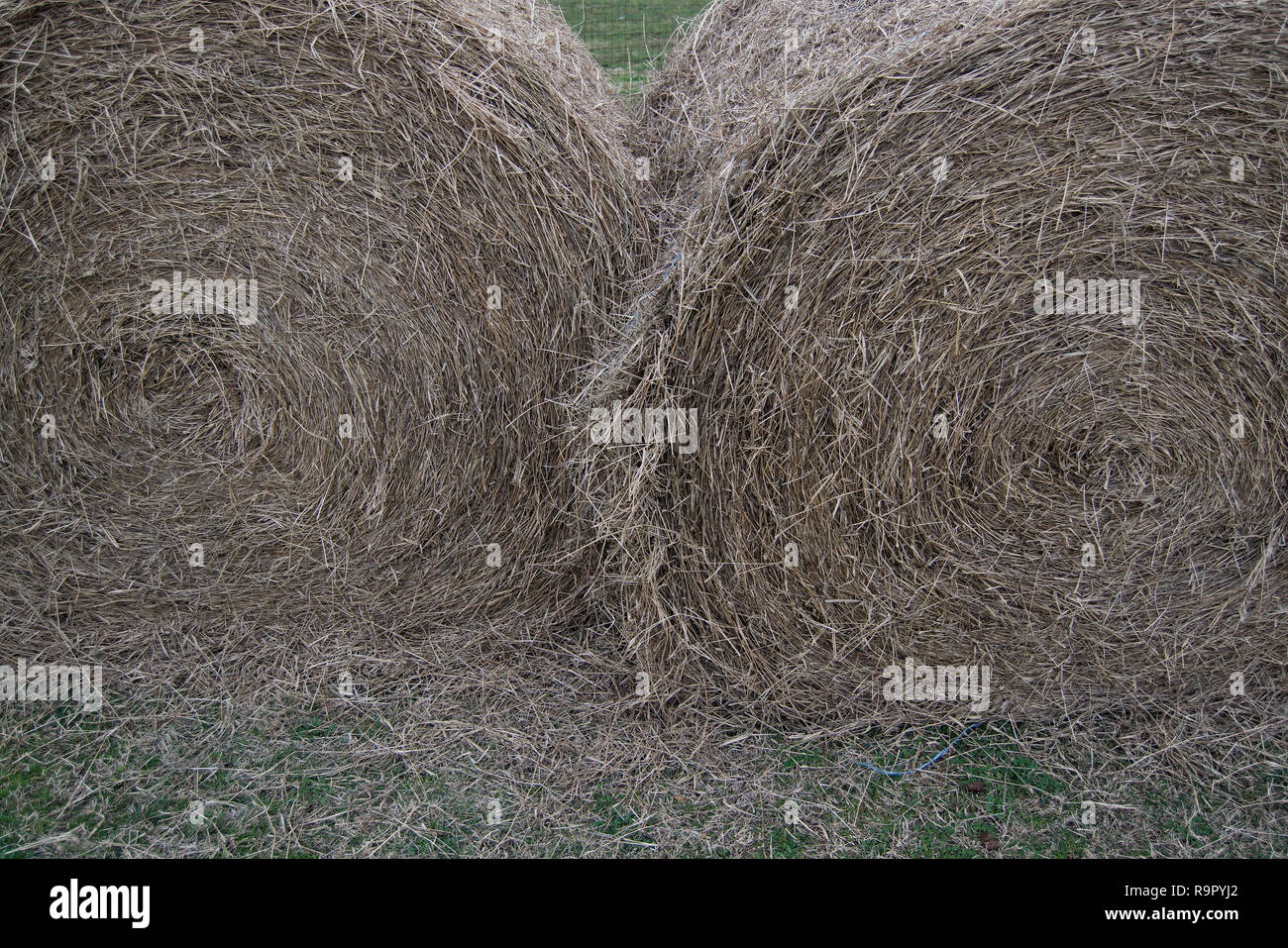 Two hay bails hi-res stock photography and images - Alamy