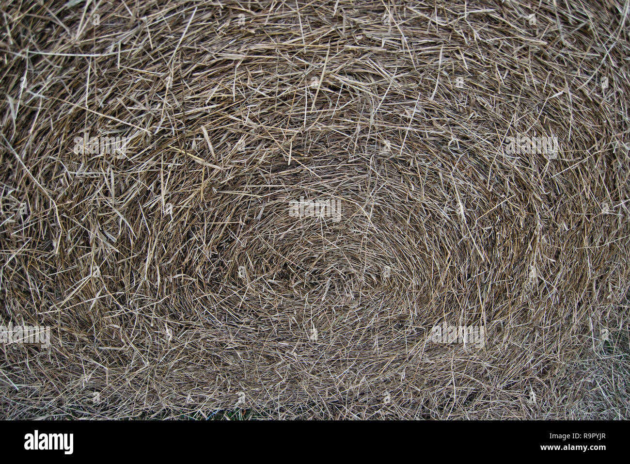 Round hay bails hi-res stock photography and images - Alamy
