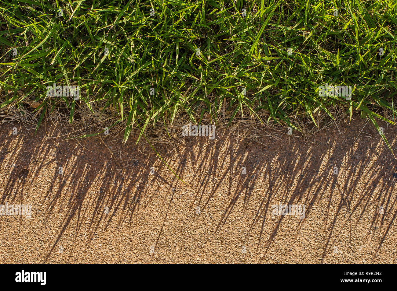 Green grass and shadow Stock Photo - Alamy