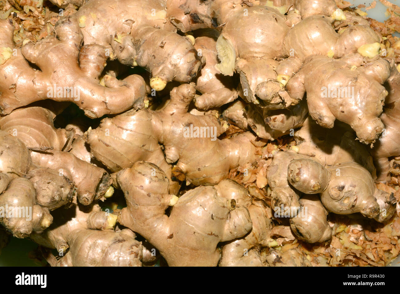 heap of ginger root at the market Stock Photo - Alamy