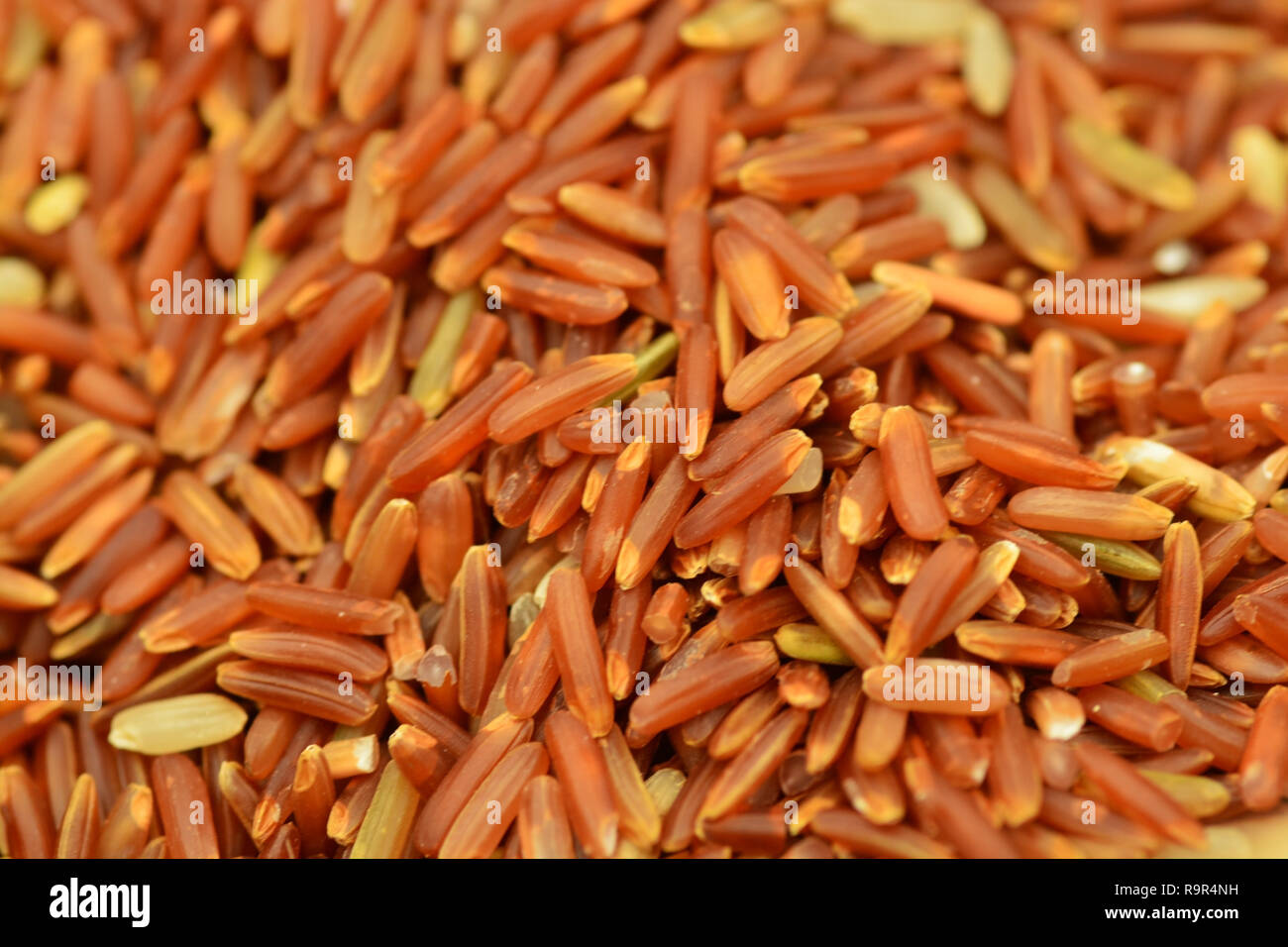 Whole grain Traditional Thai rice best rice for healthy and clean food ...