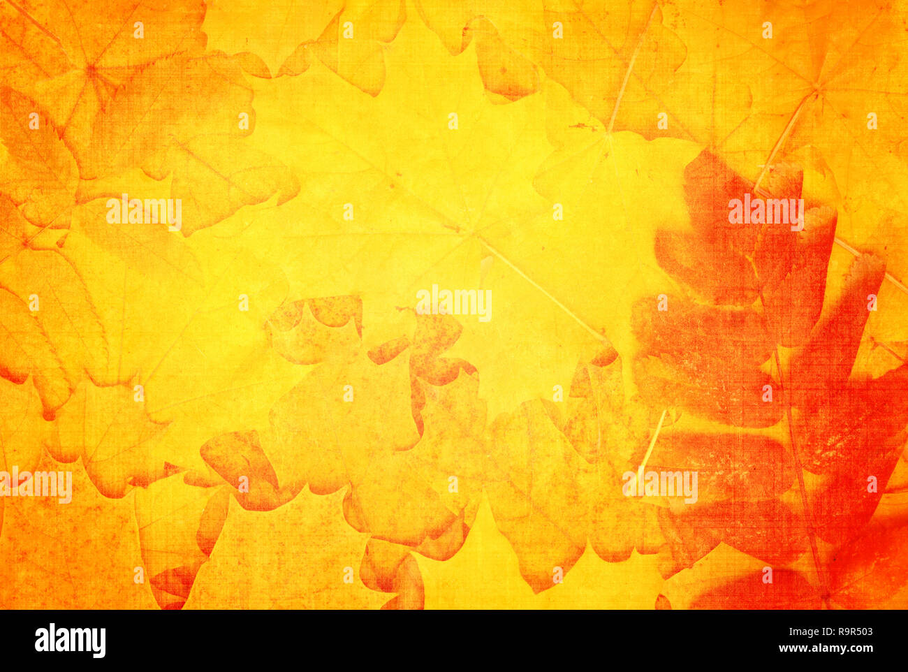 Grunge fall background with old paper texture and autumn leaves Stock ...