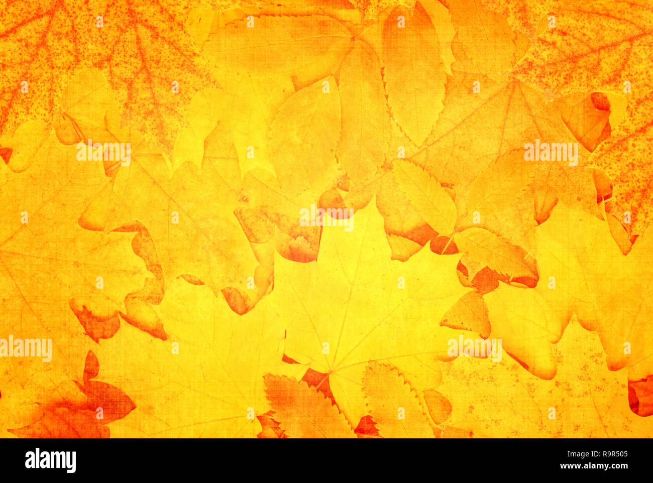 Grunge fall background with old paper texture and autumn leaves Stock ...