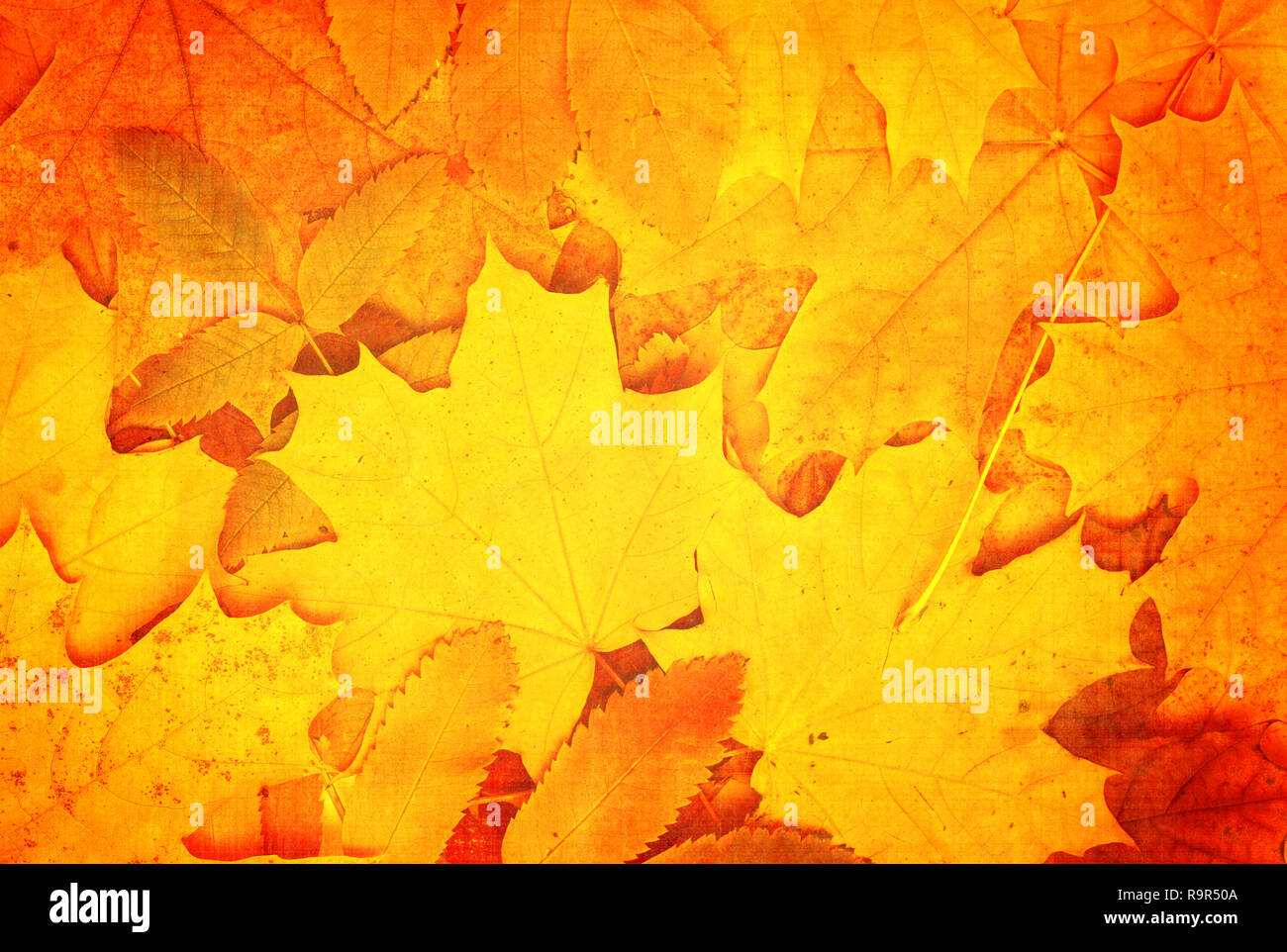 Grunge fall background with old paper texture and autumn leaves Stock ...