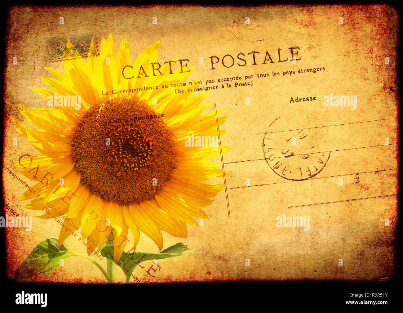 Carte texture hi-res stock photography and images - Alamy