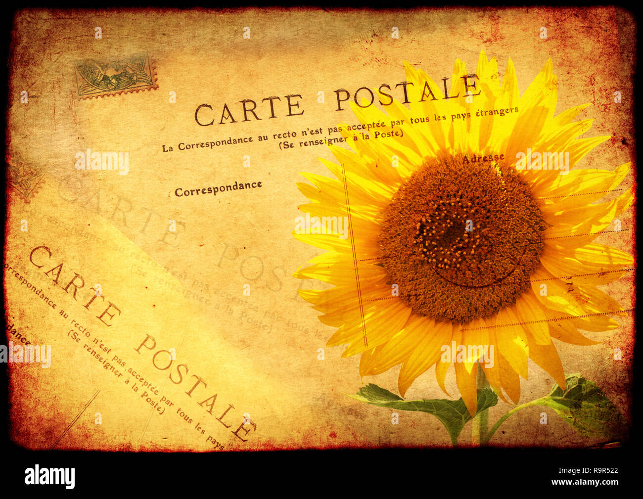 Grunge background with texture of the old, soiled paper, sunflower and ...