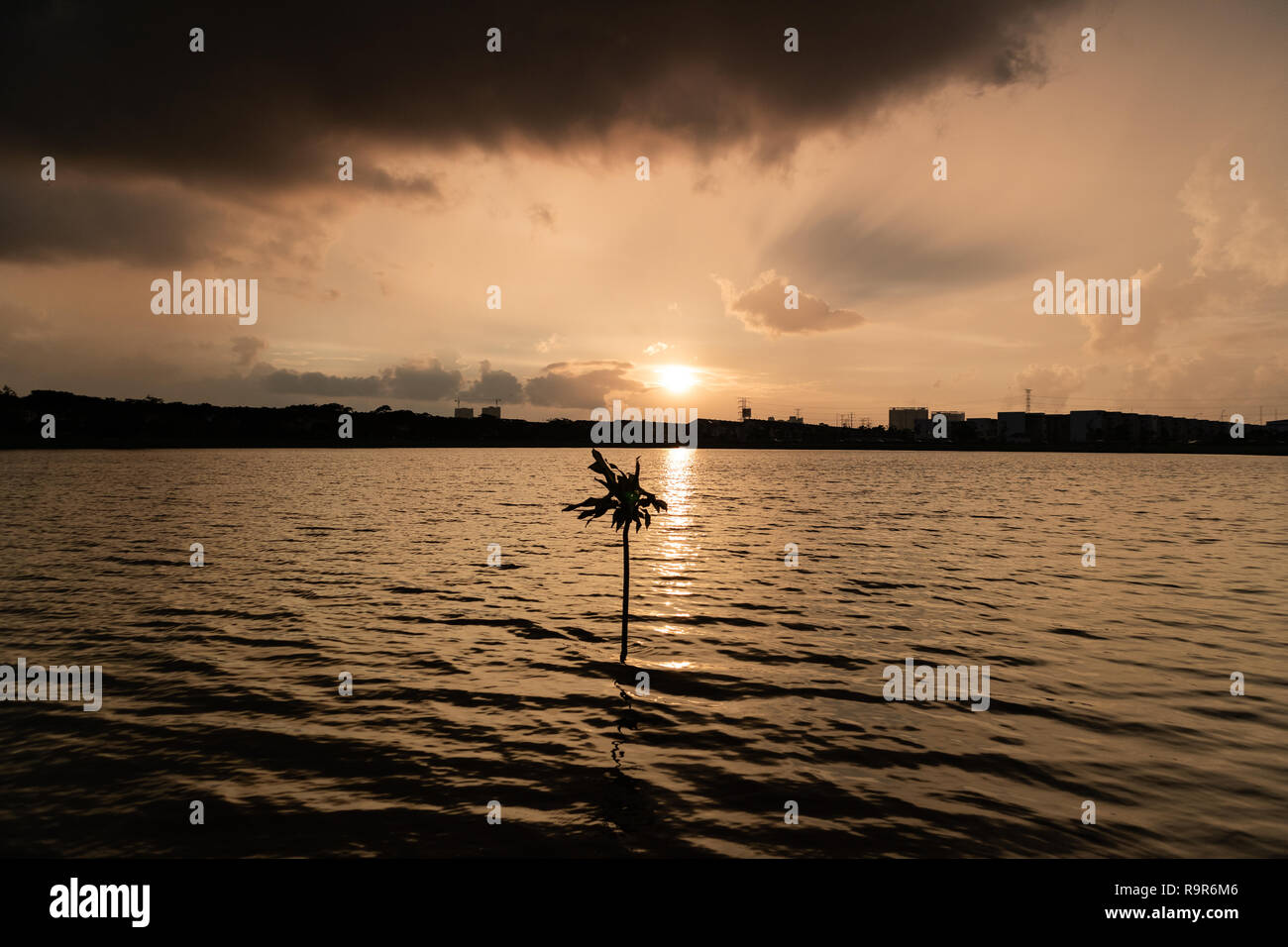 Beautiful sunset during storm time hi-res stock photography and images ...