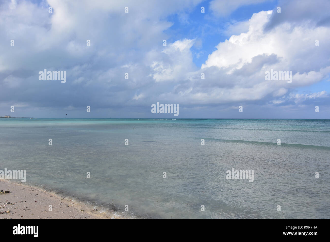 Pretty coastline on the shore of palm beach Stock Photo - Alamy