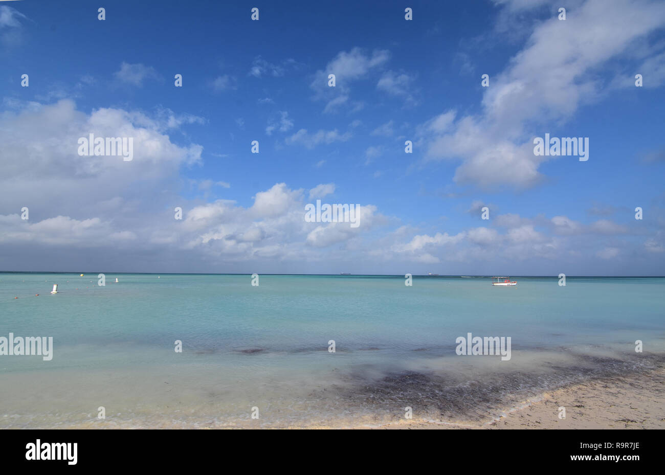 Pretty blue waters on the shoreline of aruba Stock Photo - Alamy