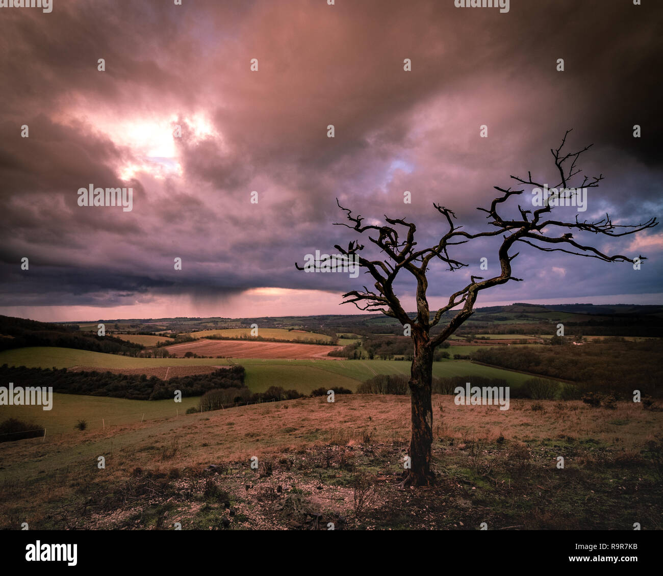 Old english countryside hi-res stock photography and images - Alamy