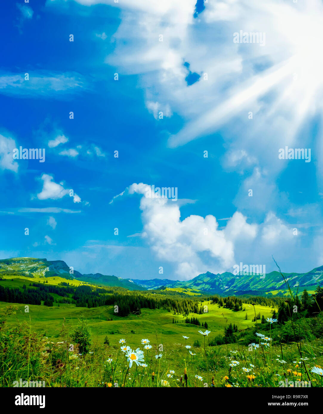 Summer time mountain nature panoramic landscape Stock Photo - Alamy