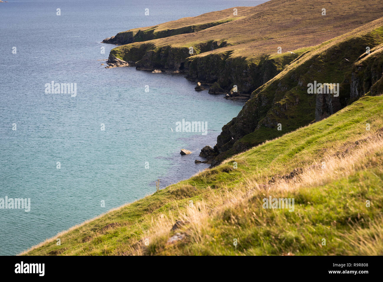 Landscape on Fetlar, Shetland Islands, UK Stock Photo - Alamy