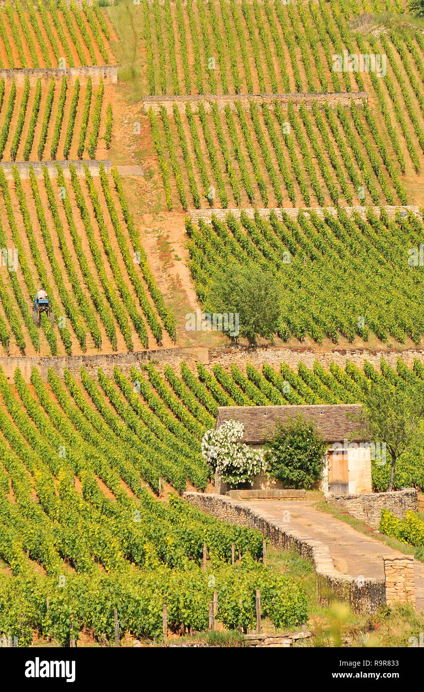 Beaune france vineyard hi-res stock photography and images - Alamy