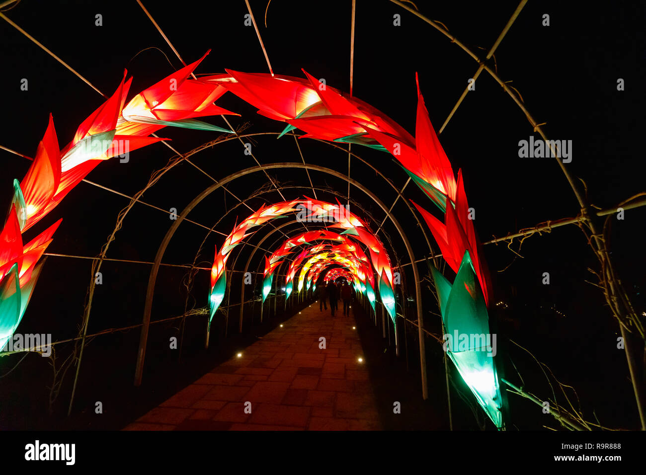Tunnel of illuminated red flowers at the popular 2018 Annual Wisley ...