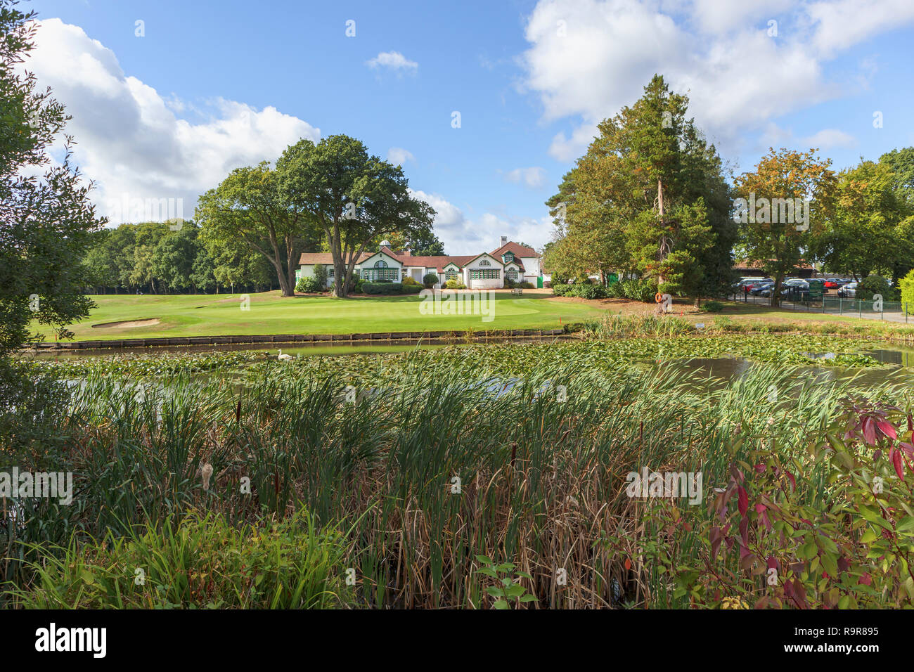 English golf course habitat hi-res stock photography and images - Alamy