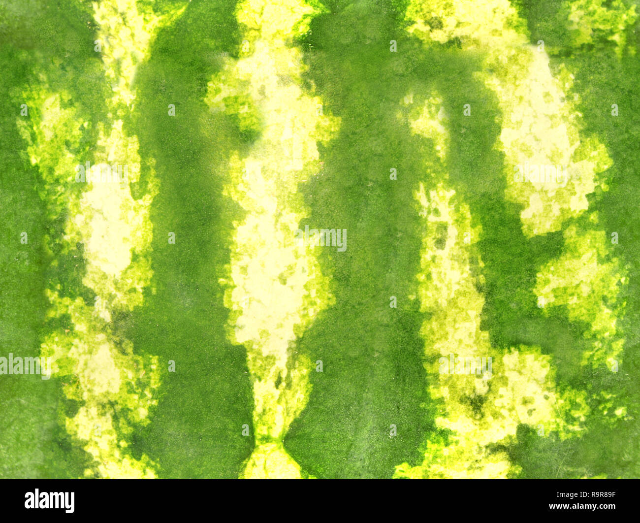 Watermelon Skin Texture