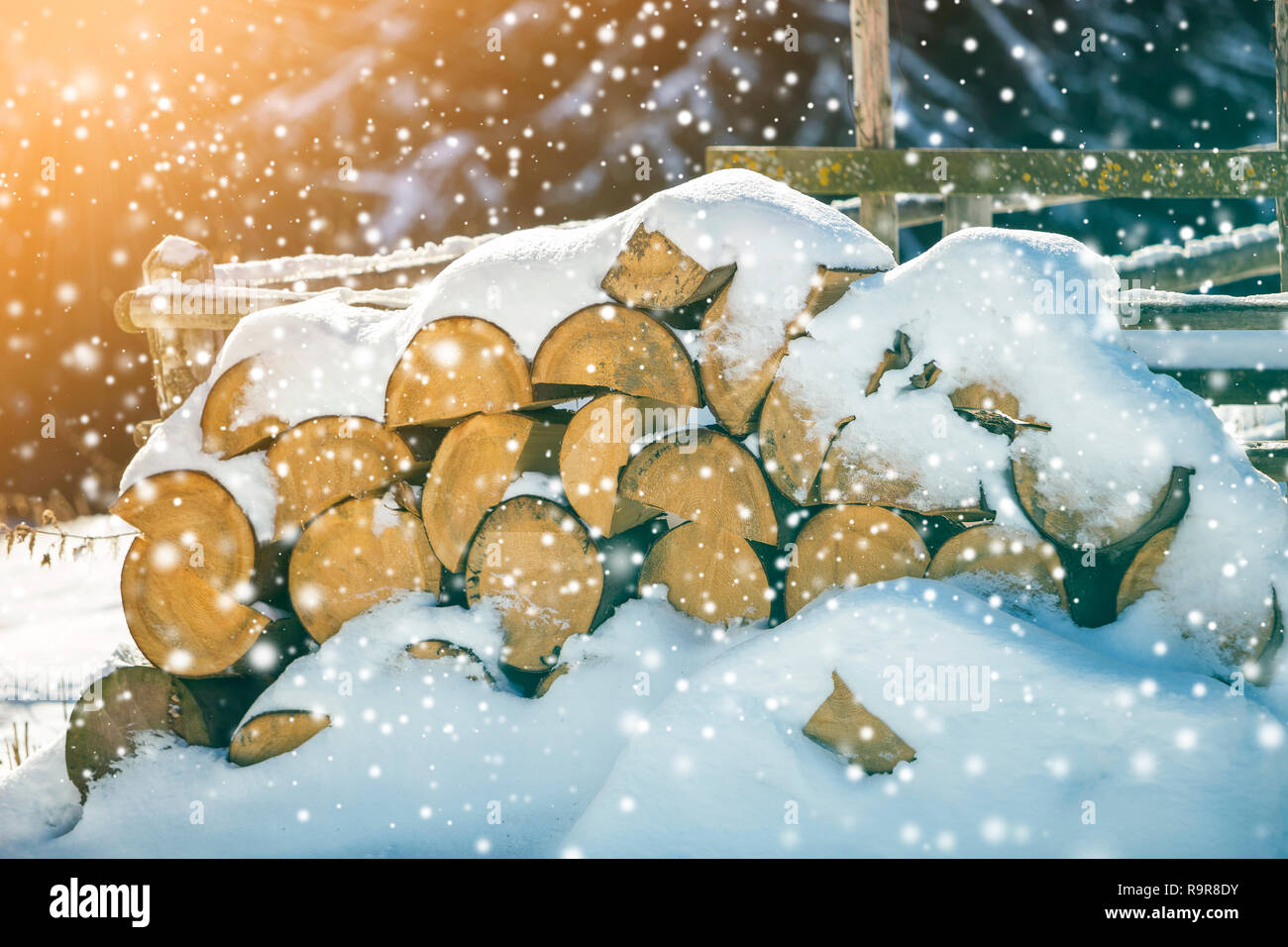 Neatly piled stack of chopped dry trunks wood covered with snow ...