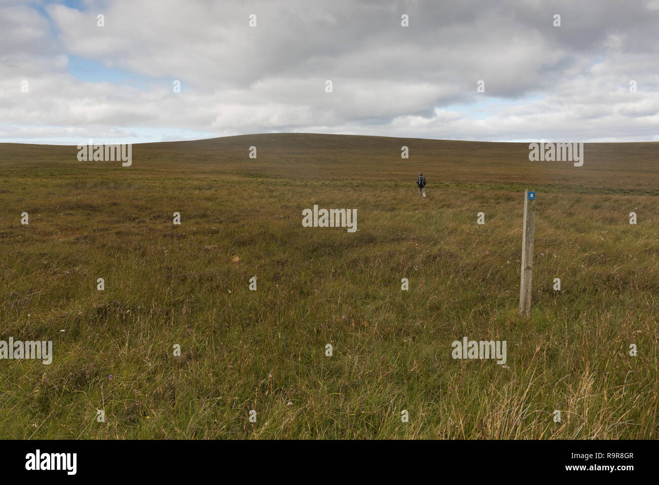 Landscape on Fetlar, Shetland Islands, UK Stock Photo - Alamy