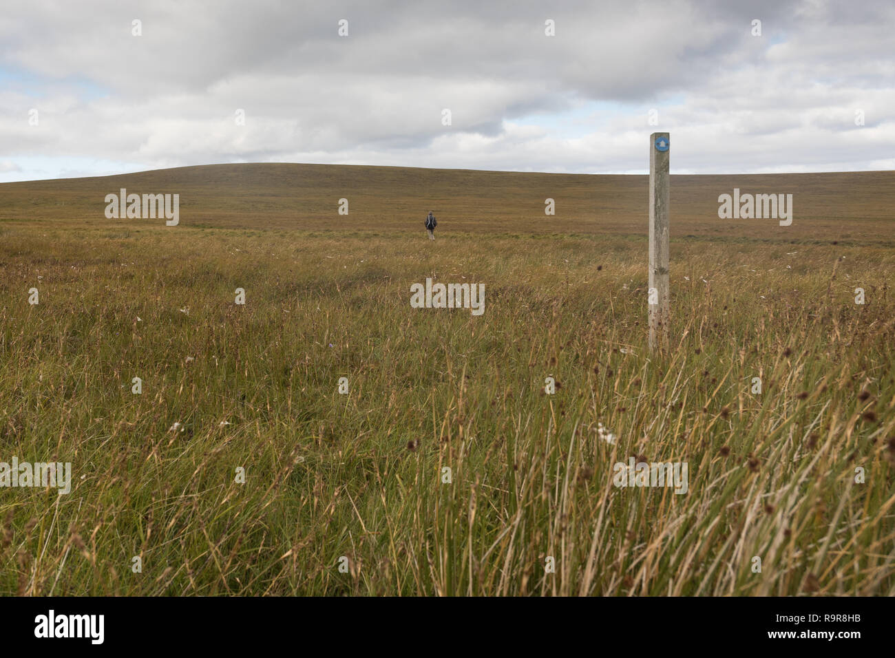 Landscape on Fetlar, Shetland Islands, UK Stock Photo - Alamy