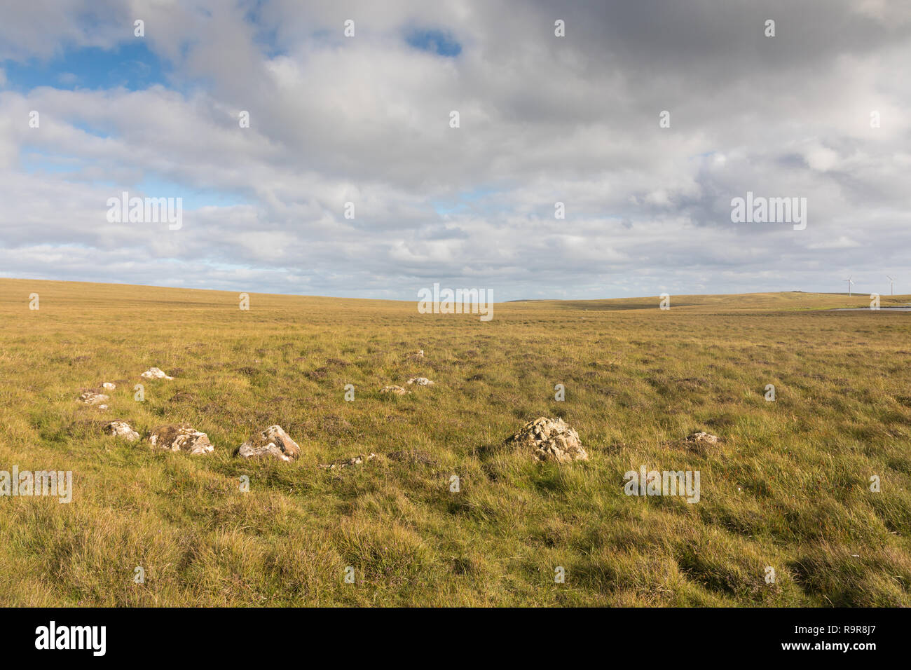Landscape on Fetlar, Shetland Islands, UK Stock Photo - Alamy