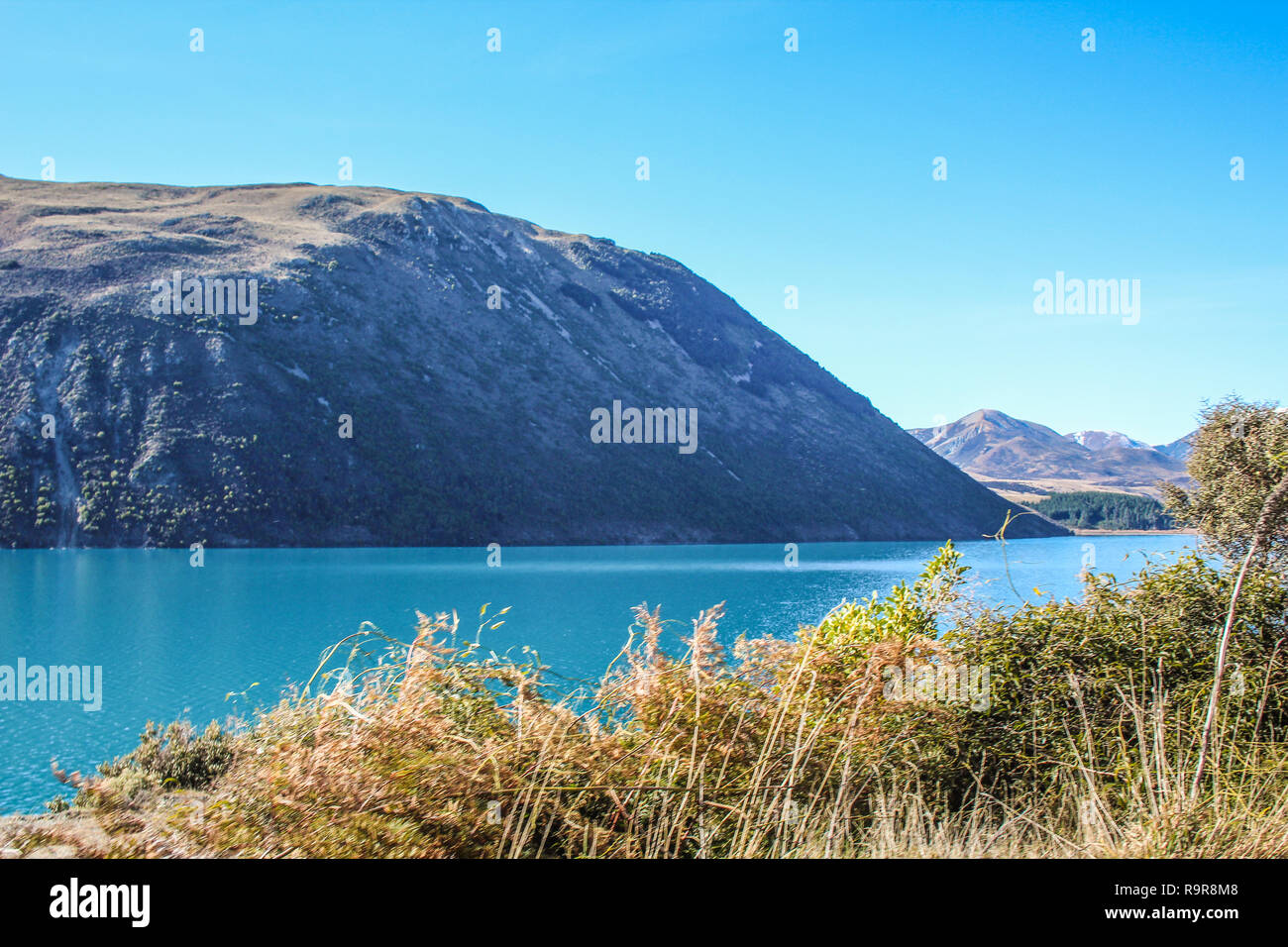Lake Coleridge in Canterbury, South Island, New Zealand Stock Photo - Alamy