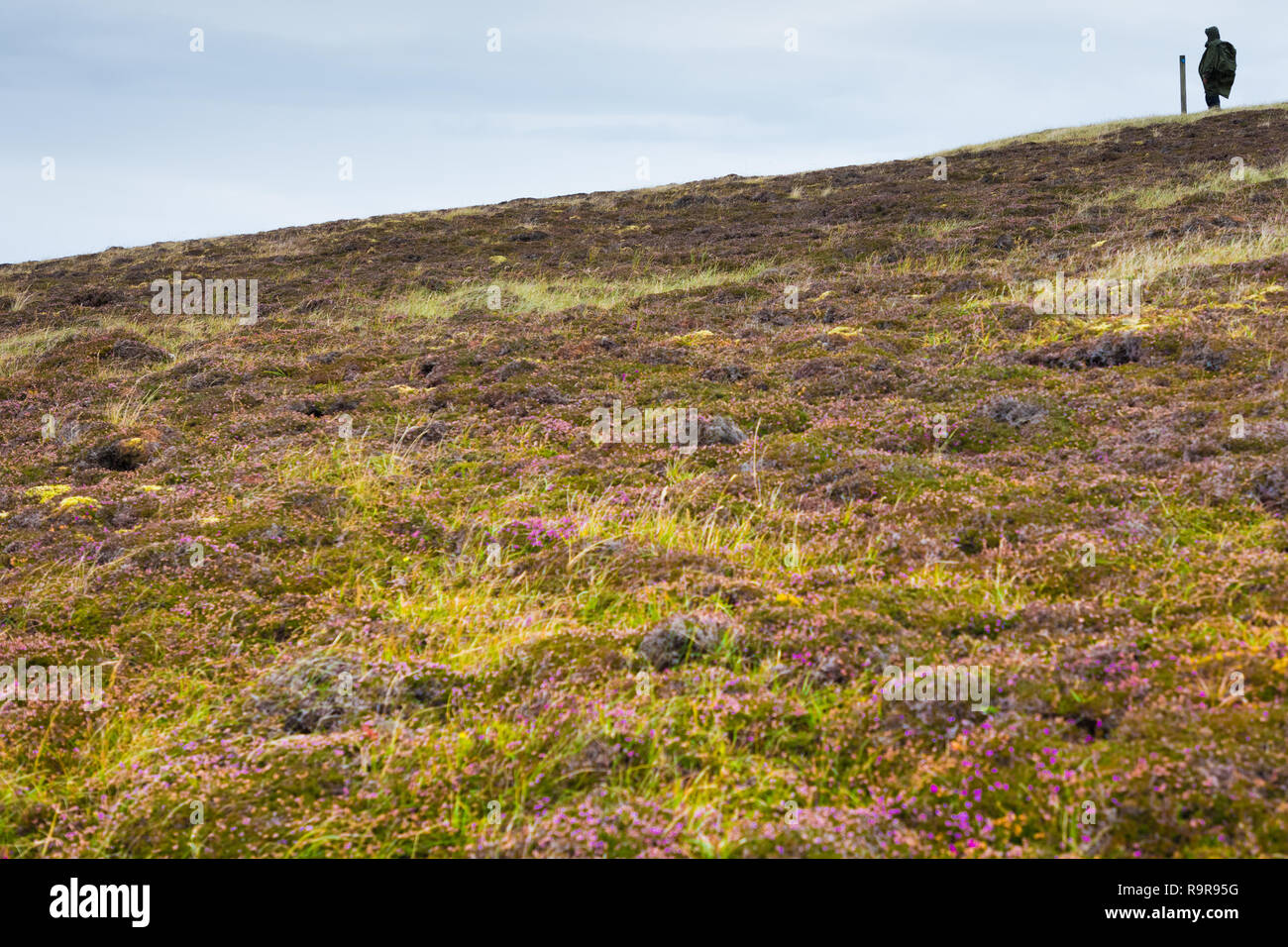 Shetland fetlar island hi-res stock photography and images - Alamy