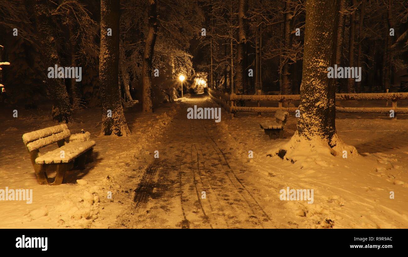 winter walk at night Stock Photo - Alamy