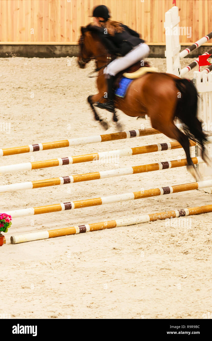 Equitation. Riding competition. Show jumping, horse and rider over jump ...