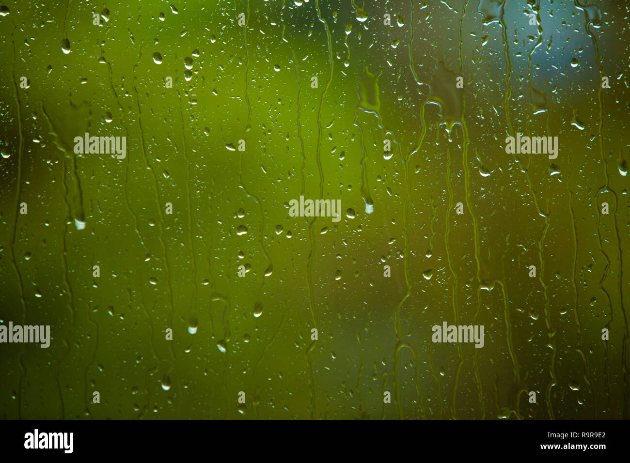 Closeup of water drops droplets raindrops on glass window as background texture. Rain Stock ...