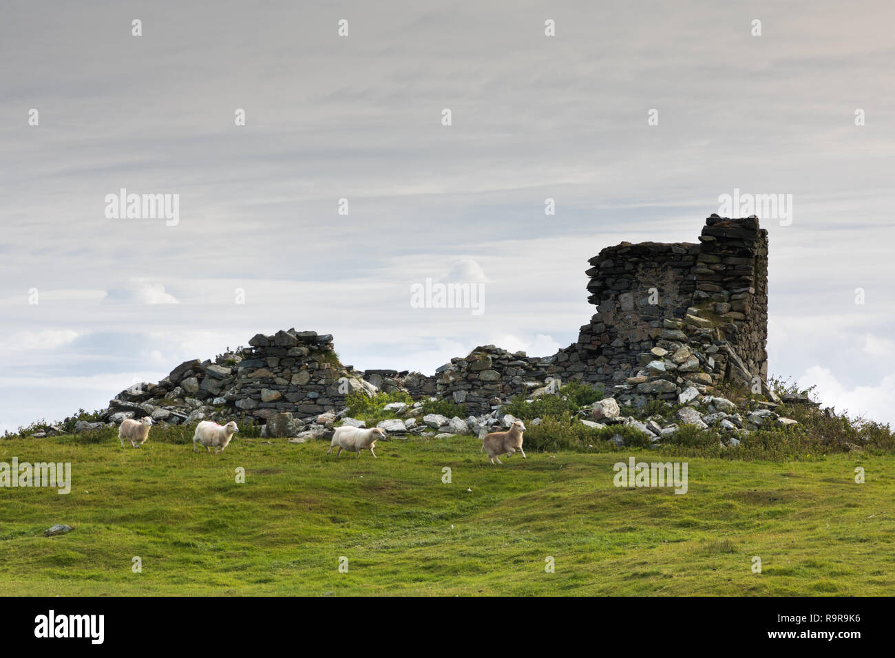 Ruined buildings on Fetlar, Shetland Islands Stock Photo - Alamy