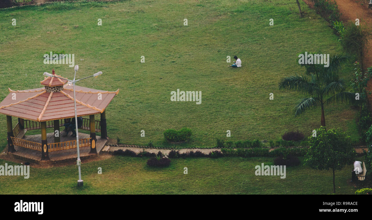 Top view of a garden from a building terrace Stock Photo - Alamy