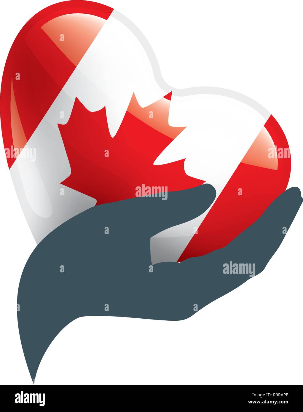 Canada flag, vector illustration on a white background Stock Vector Image & Art - Alamy