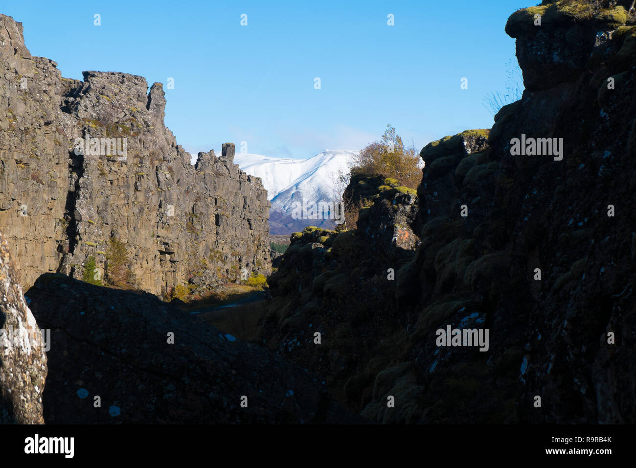 Þingvellir, Thingvellir, national park, rift valley Stock Photo - Alamy