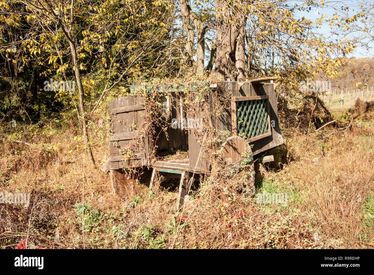 old cart in a field Stock Photo - Alamy