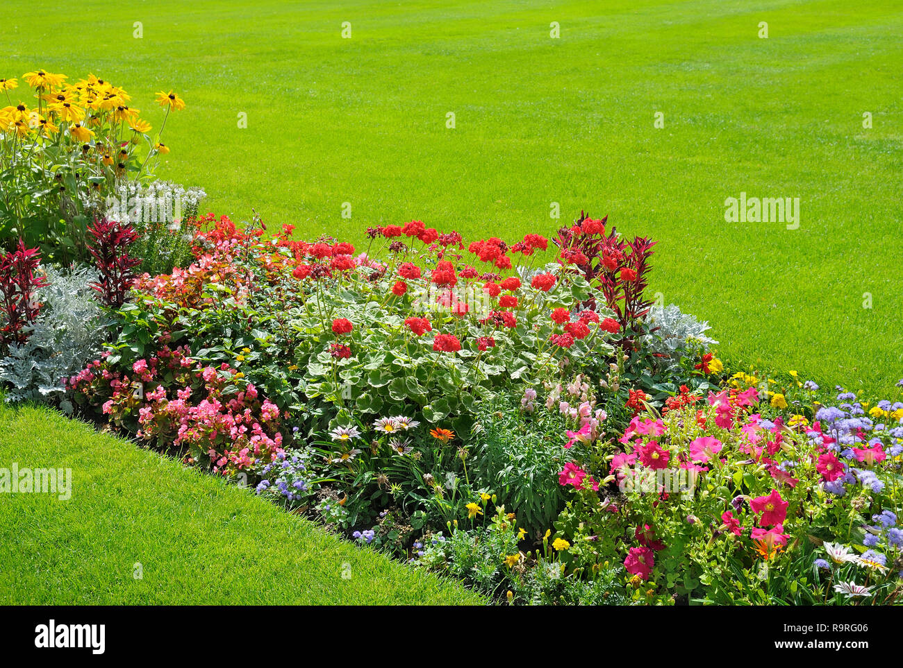 beautiful background of bright garden flowers Stock Photo - Alamy