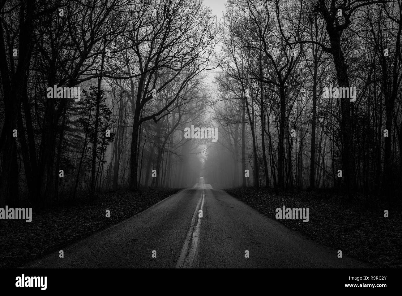 Dark Lonely Road Wallpaper